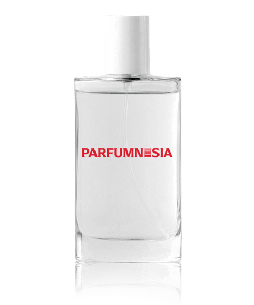 Review Buttonscarves Colmar di Parfumnesia